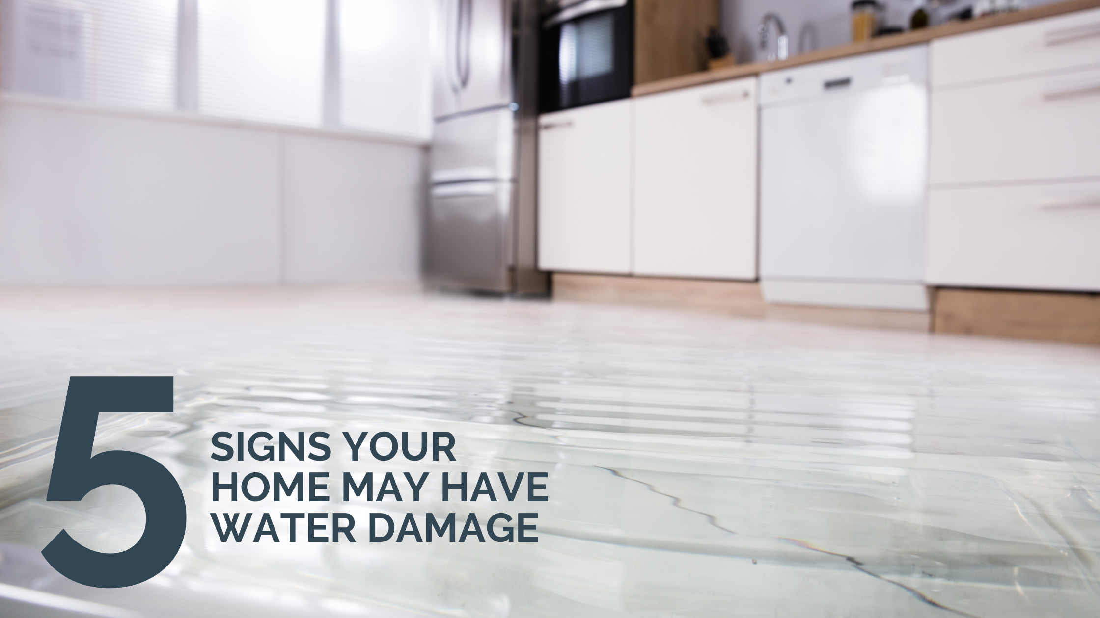 6 Hidden Hazards in Your Denver Colorado Home and What You Can Do About ...